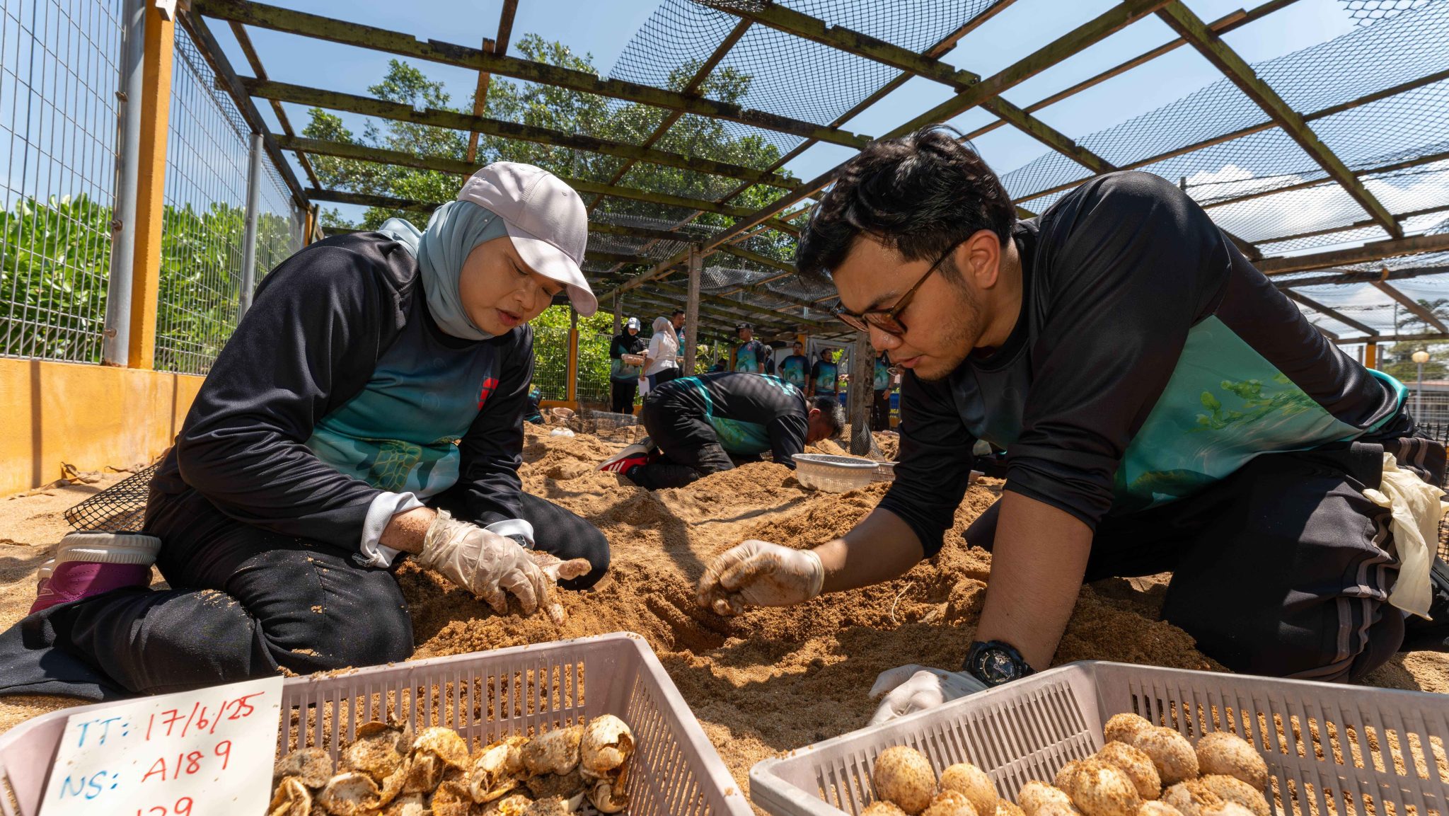 CTRM Turtle Conservation Program – From Shell to Sea - CTRM